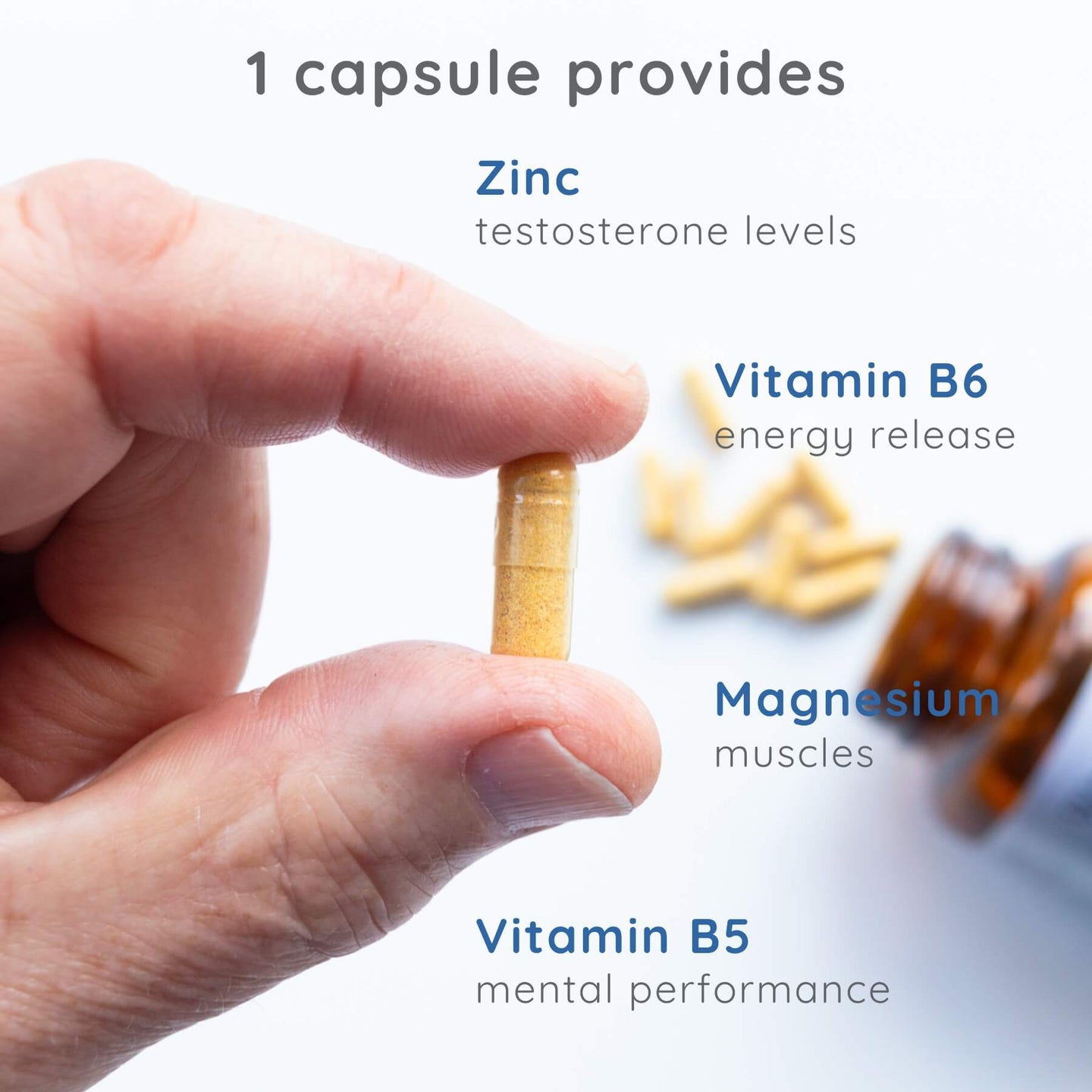 Prime Protect 50+ Women – Wassen Nutrition